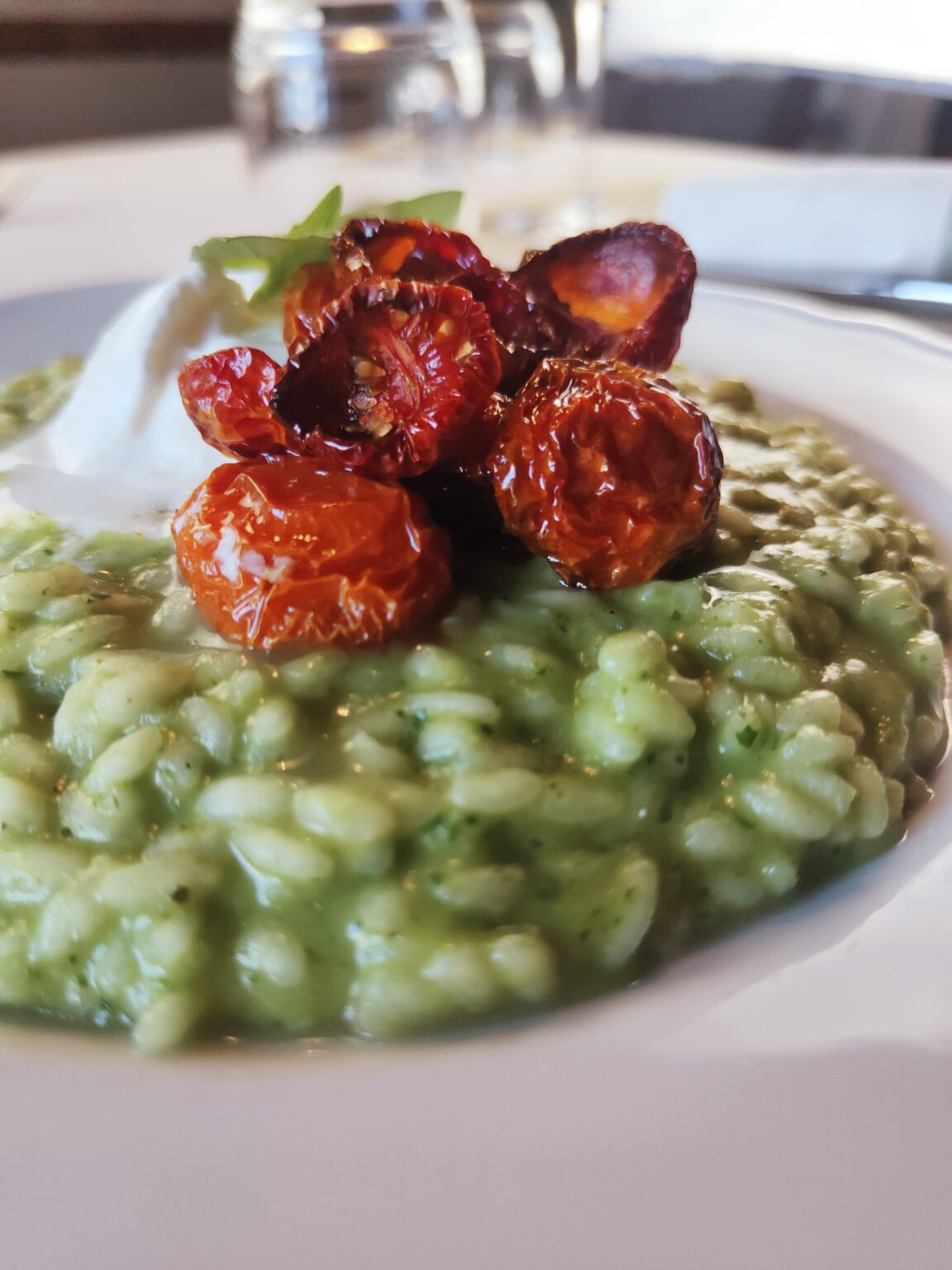 RISOTTO WITH BASIL PESTO, CHERRY TOMATO CONFIT AND BURRATA CHEESE ...